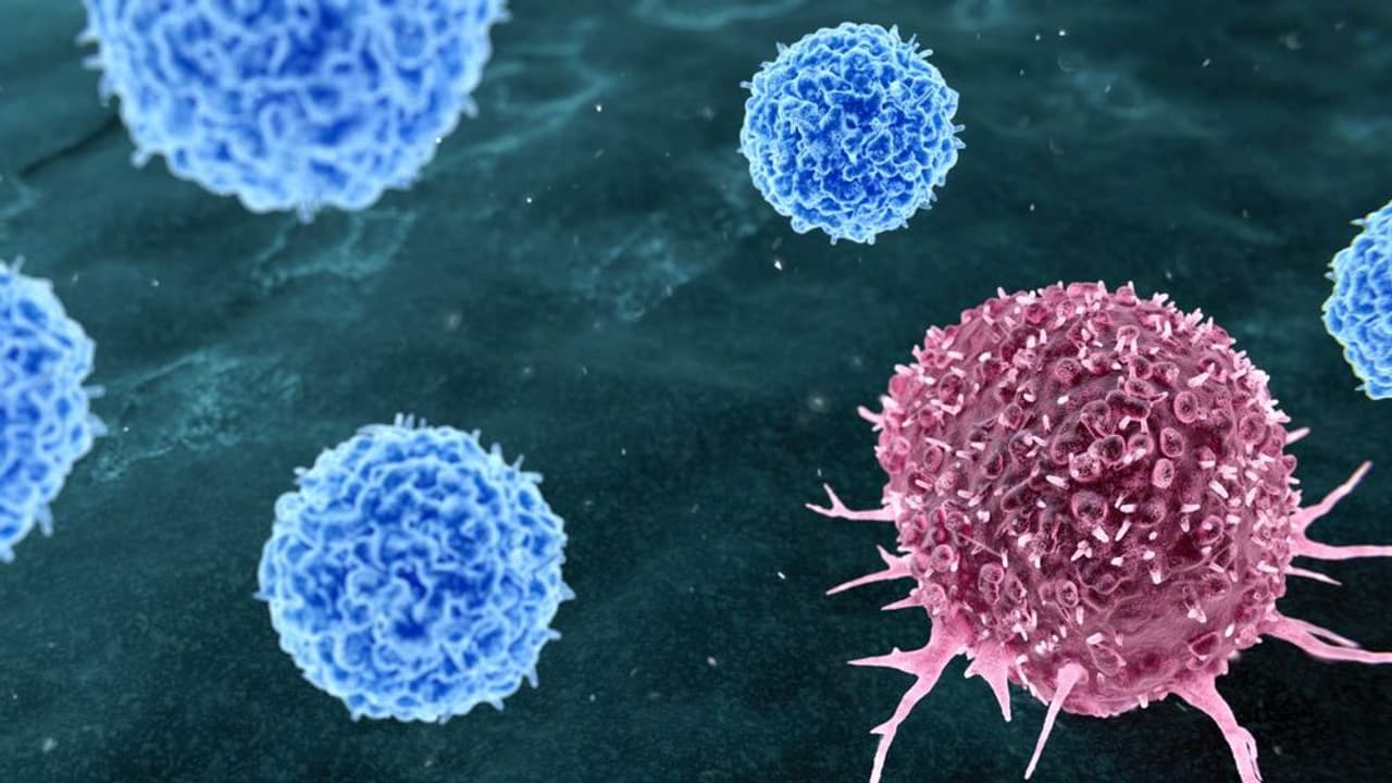 Retail Buzz Builds Around Cel-Sci Stock Ahead Of Saudi Ruling On Cancer ...