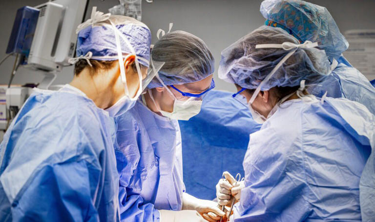 Identical twins thriving after undergoing life-saving womb surgery