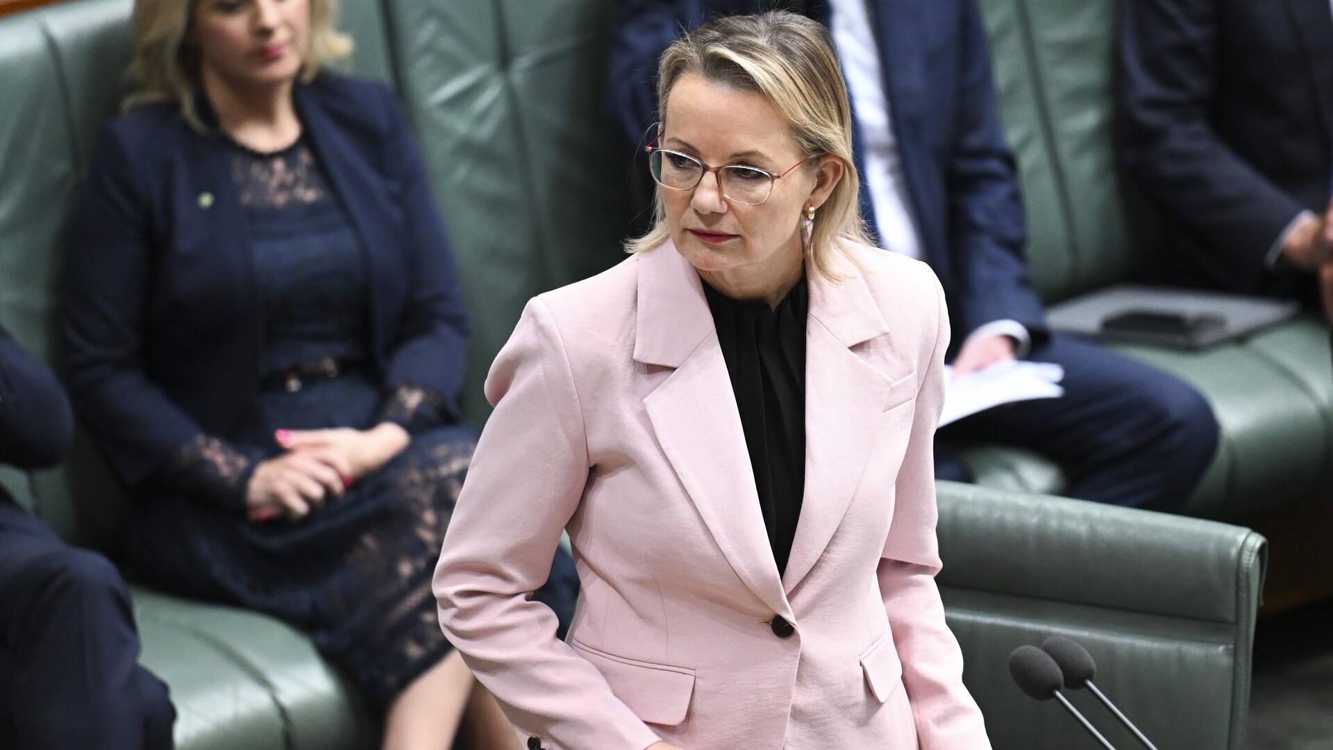 Melbourne has become ‘the crime capital of Australia’: Sussan Ley ...