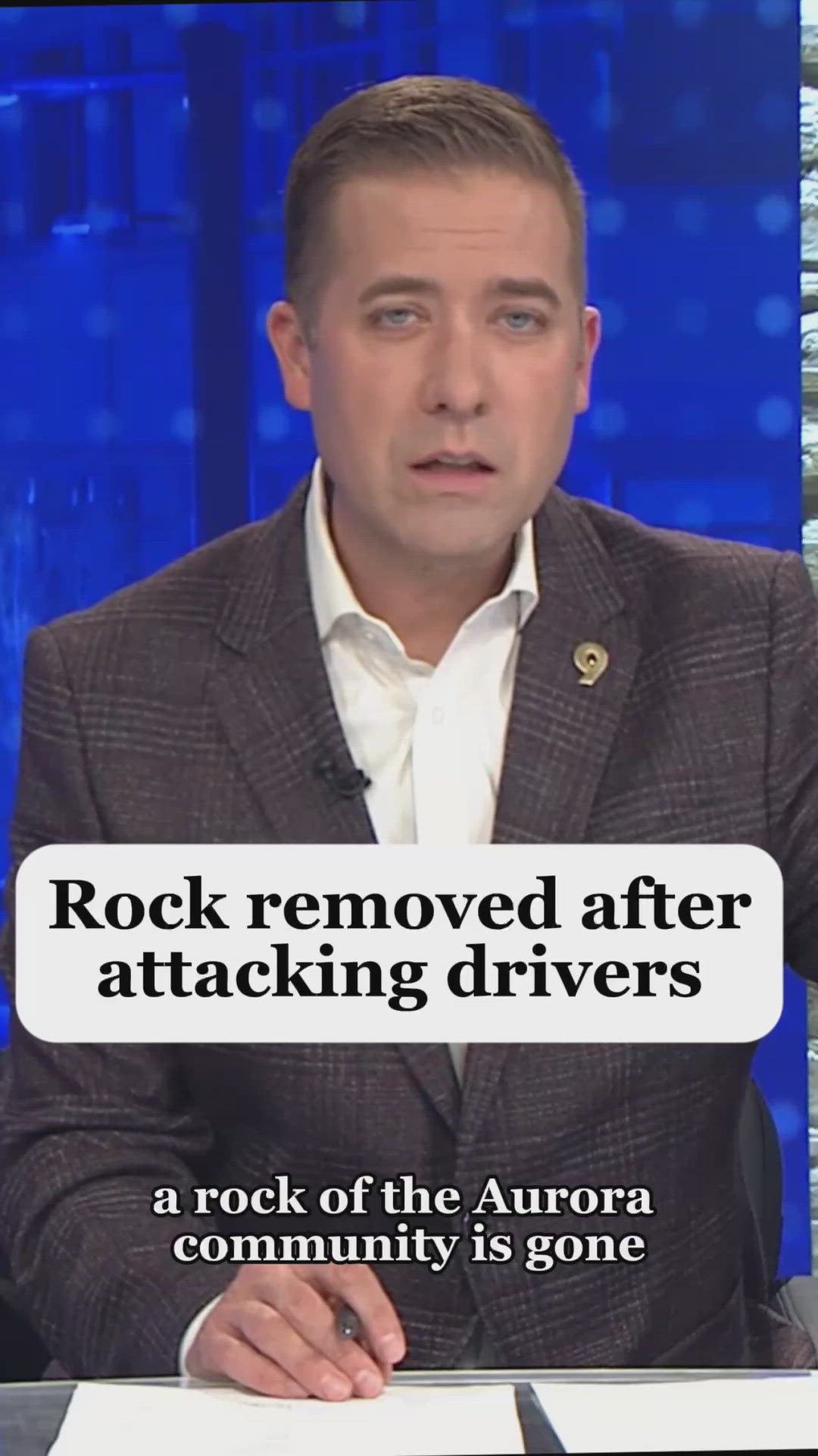 Aggressive rock removed from Aurora parking lot