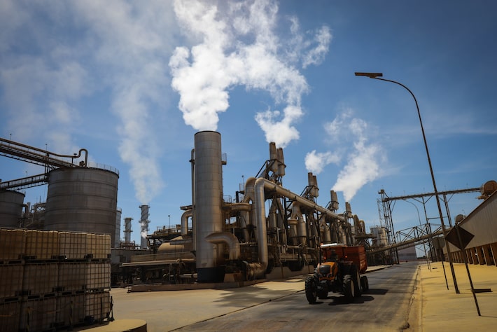 Poder do Campo: Agro já responde por 29% da energia ofertada no Brasil; veja gráficos