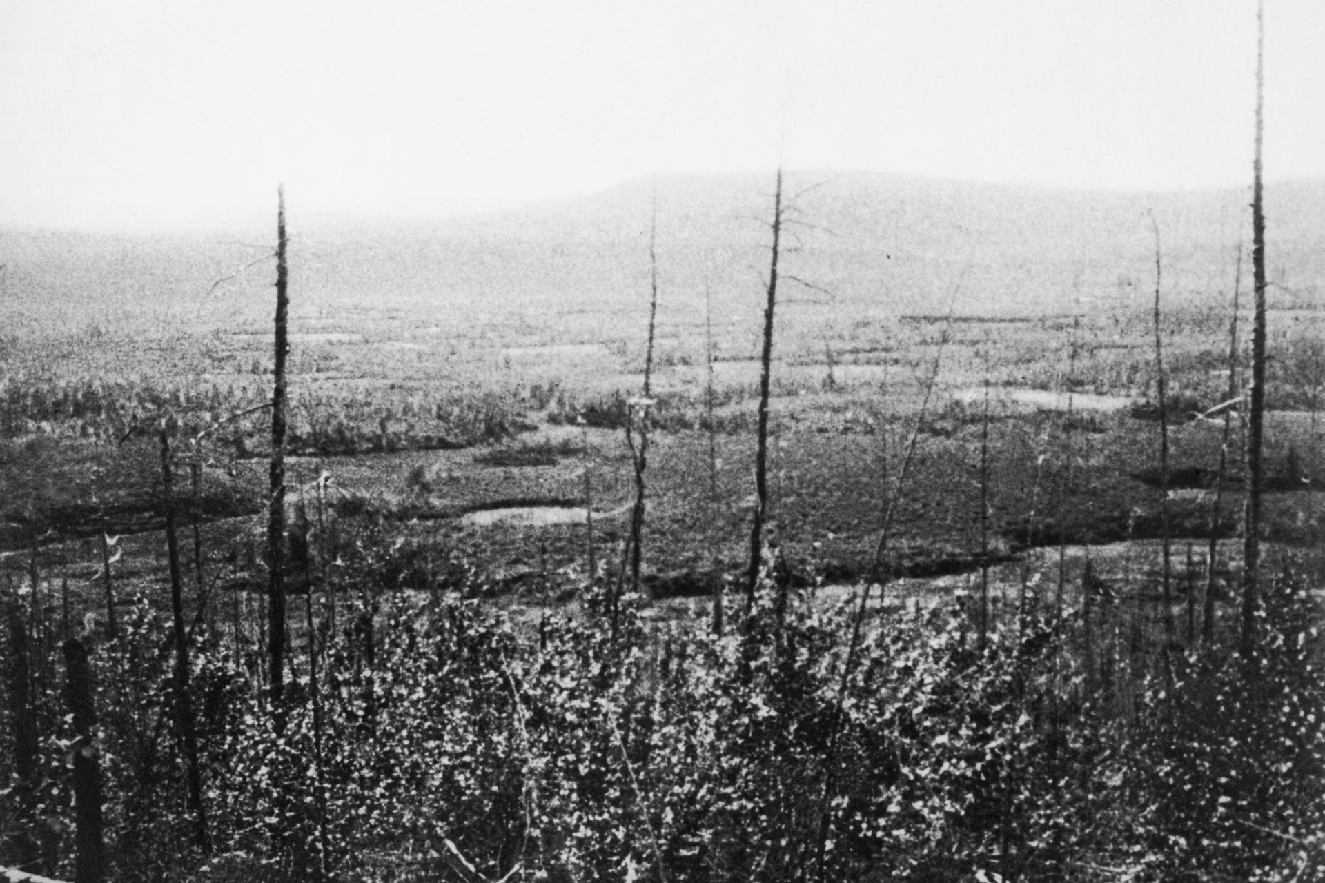 The 1908 Tunguska event that rocked the Earth
