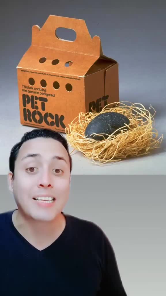 Gary Dahl y la famosa Pet Rock. #historia #empresarios #nescritor #cu...