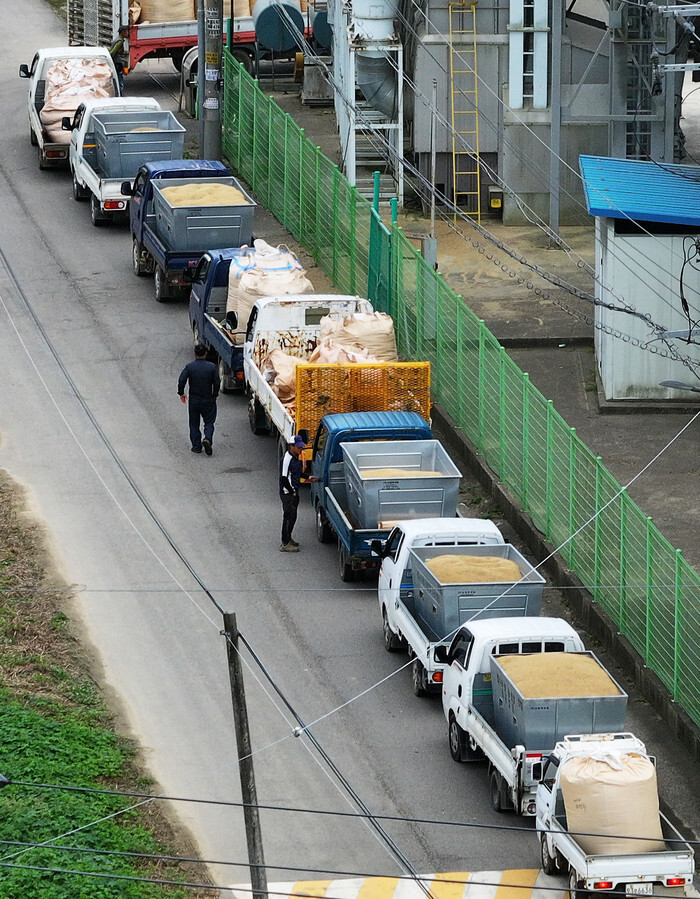 Gov't's rice purchase