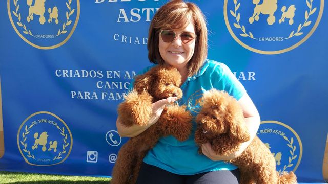El criadero de caniches con el que soñó Montse Prado está en Tapia ...