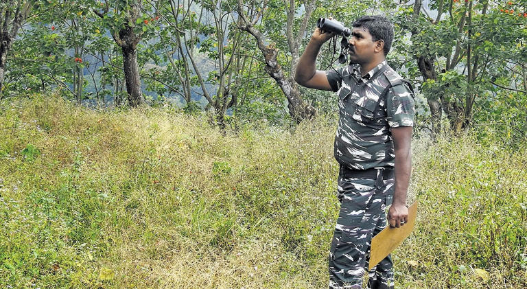 Two youths rescued after getting stuck in restricted Rajathottam forest ...