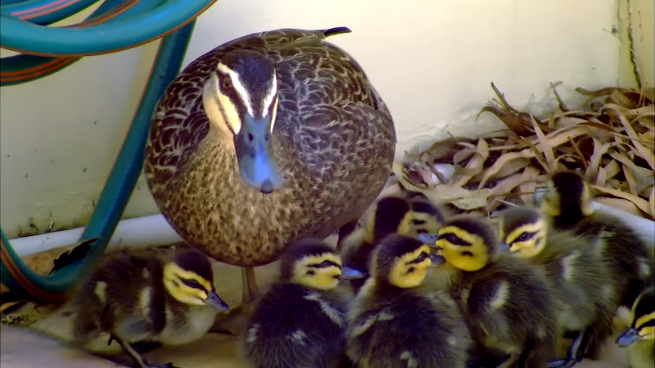 María Roberts, peluquera de las famosas, desvela el truco para lucir un ...