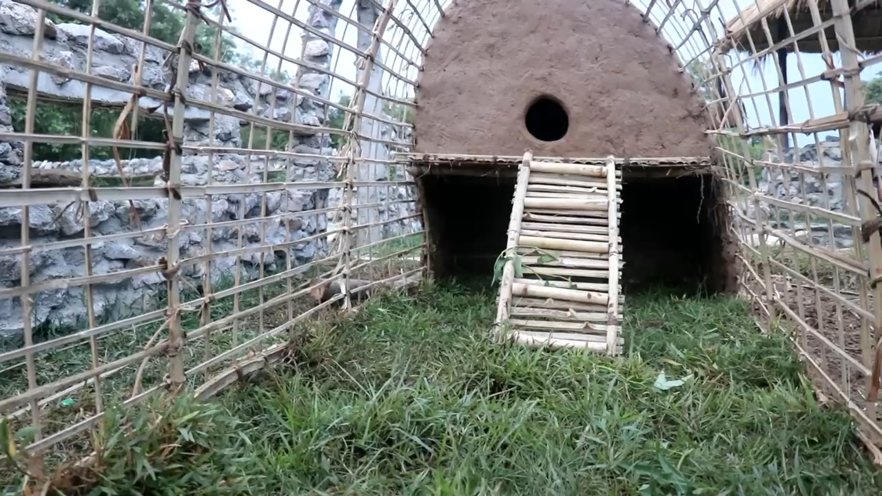 A Magical Hand Crafted Rabbit House Built by Bare Hands Using Only Mud ...