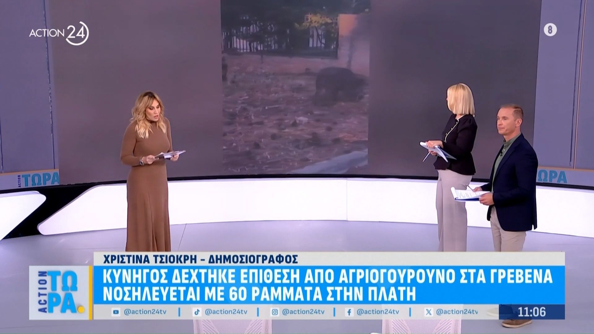 Κυνηγός δέχτηκε πισώπλατη επίθεση από αγριογούρουνο και χρειάστηκε 60 ...