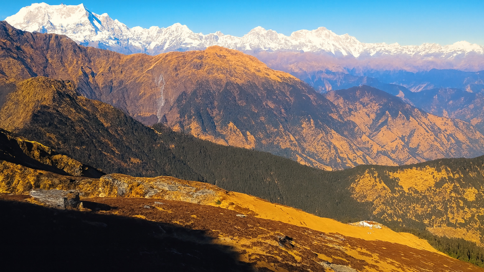 Himalaya – India: vette innevate e creste boscose in 4K