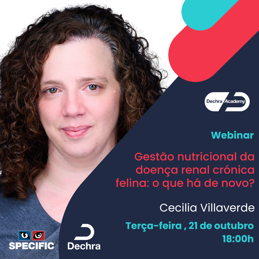 Dechra promove webinars sobre gestão da doença renal crónica