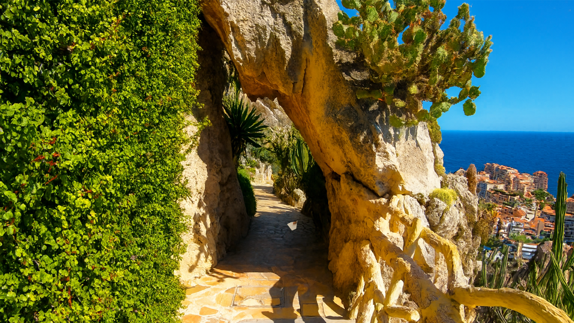 Walking Through the Cactus Garden of Jardin Exotique, Monaco