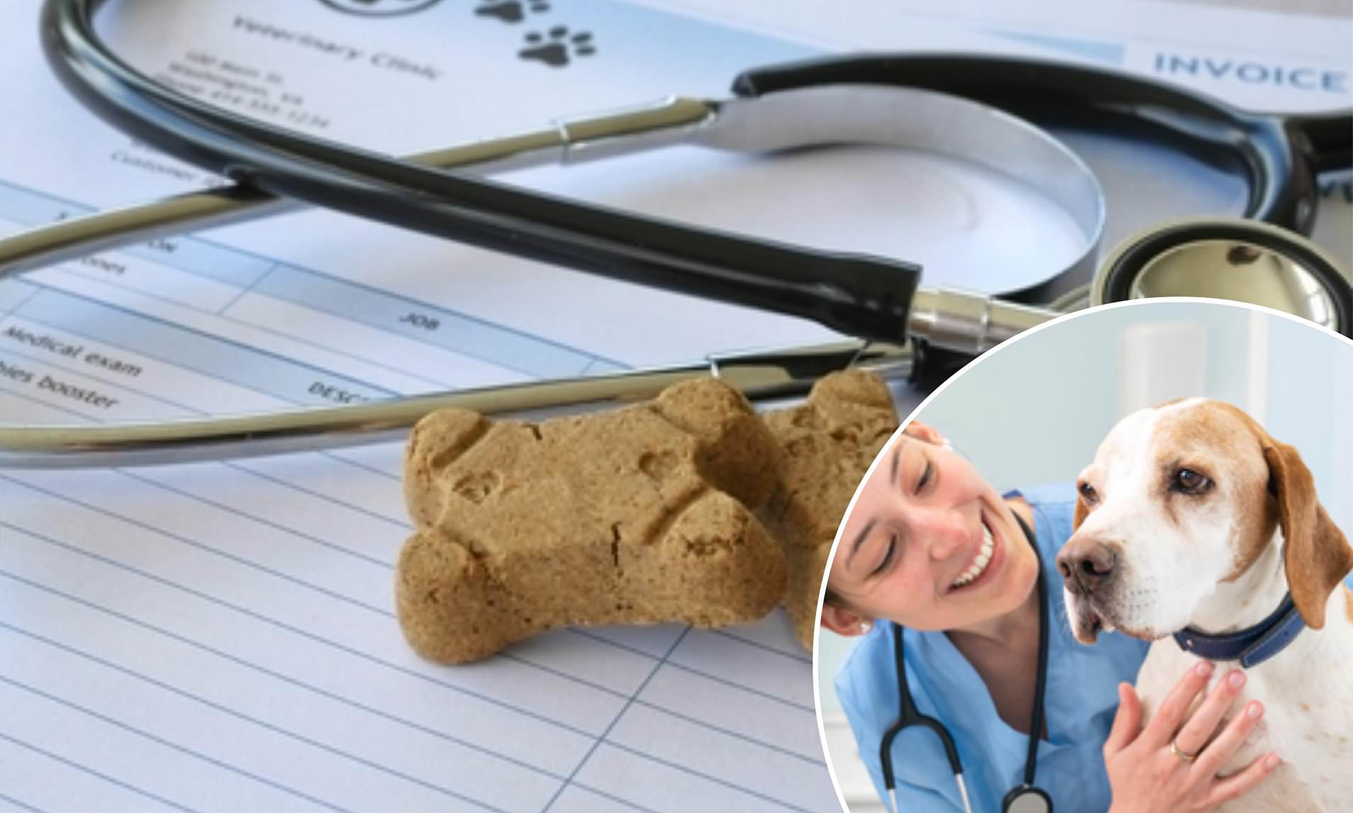 Vet sector shake-up set to bring down pet medicine costs as prices soar