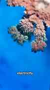 How to Grow Copper Metal Under the Microscope