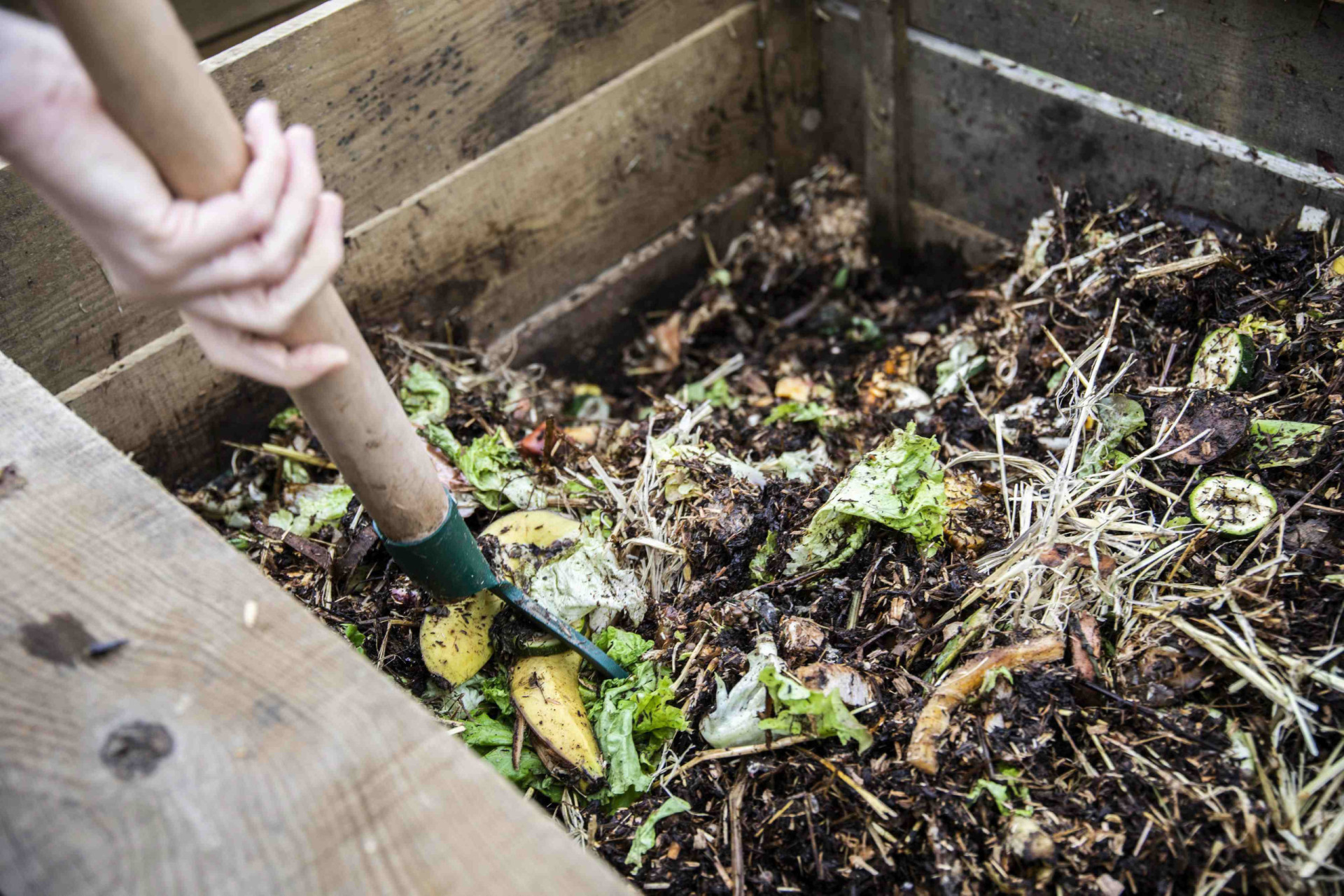 Home composting: Essential tips to get started
