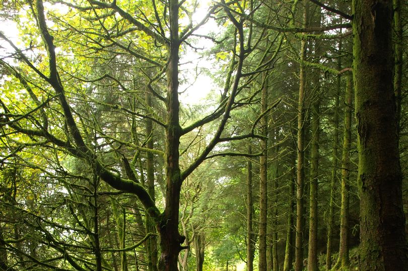 Beautiful Scottish isle trail that leads to magical library in the ...