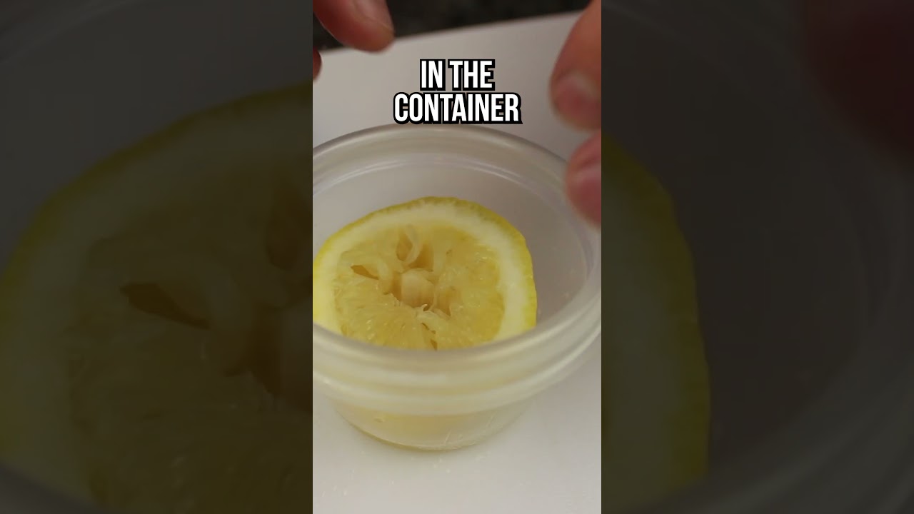 Solutions when dealing with annoying fruit flies