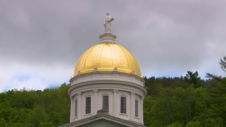 Vermont state senator's 'disgusting' messages in leaked group chat, gov ...