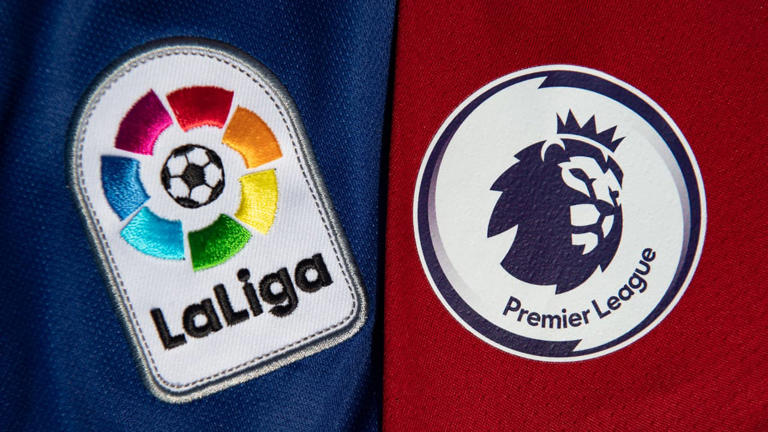 Family 'traumatised' after 'plague of rats' invade