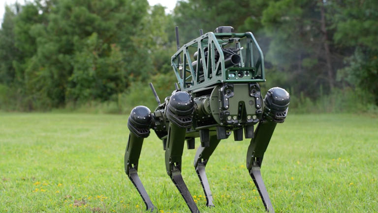 Grenade-launching war-ready robot dog that strikes autonomously ...