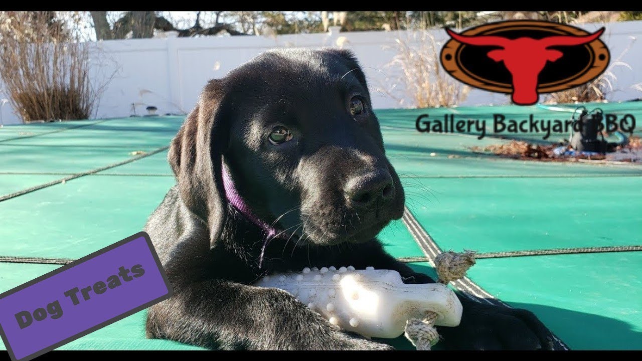 Dog treats (Scooby snacks) - fun and easy homemade recipe