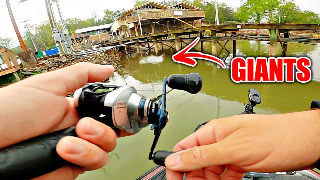 Expensive fish leave angler’s boat badly damaged