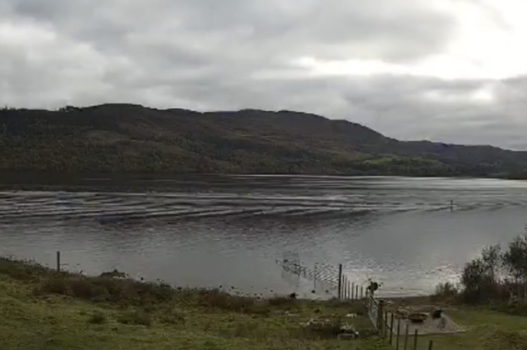 Loch Ness Monster sighting as shape that 'could only be Nessie' seen in ...