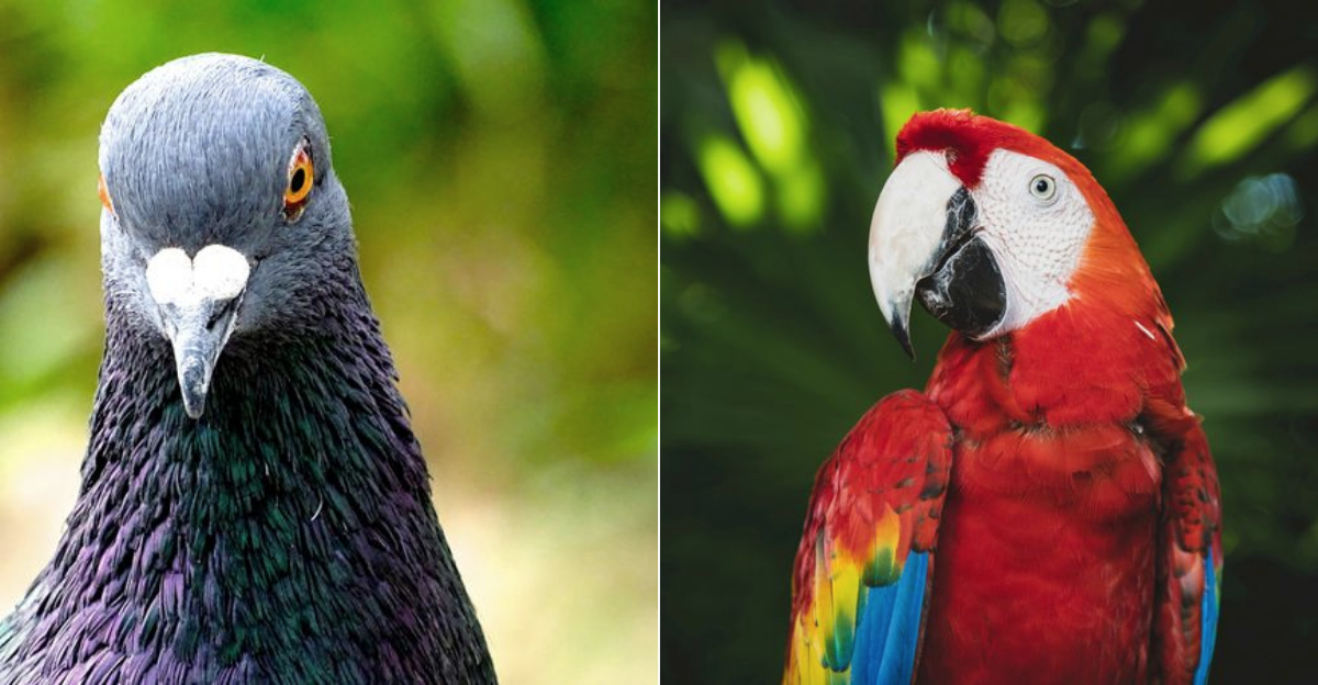 8 Smartest Non-Mammals In The Animal Kingdom