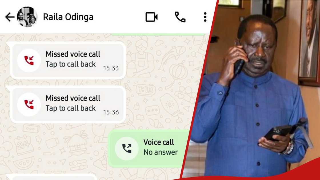 Kenyans moved by Raila Odinga's last WhatsApp conversations as friend ...