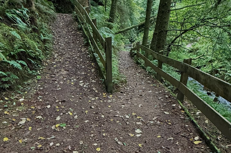 Beautiful Scottish isle trail that leads to magical library in the ...