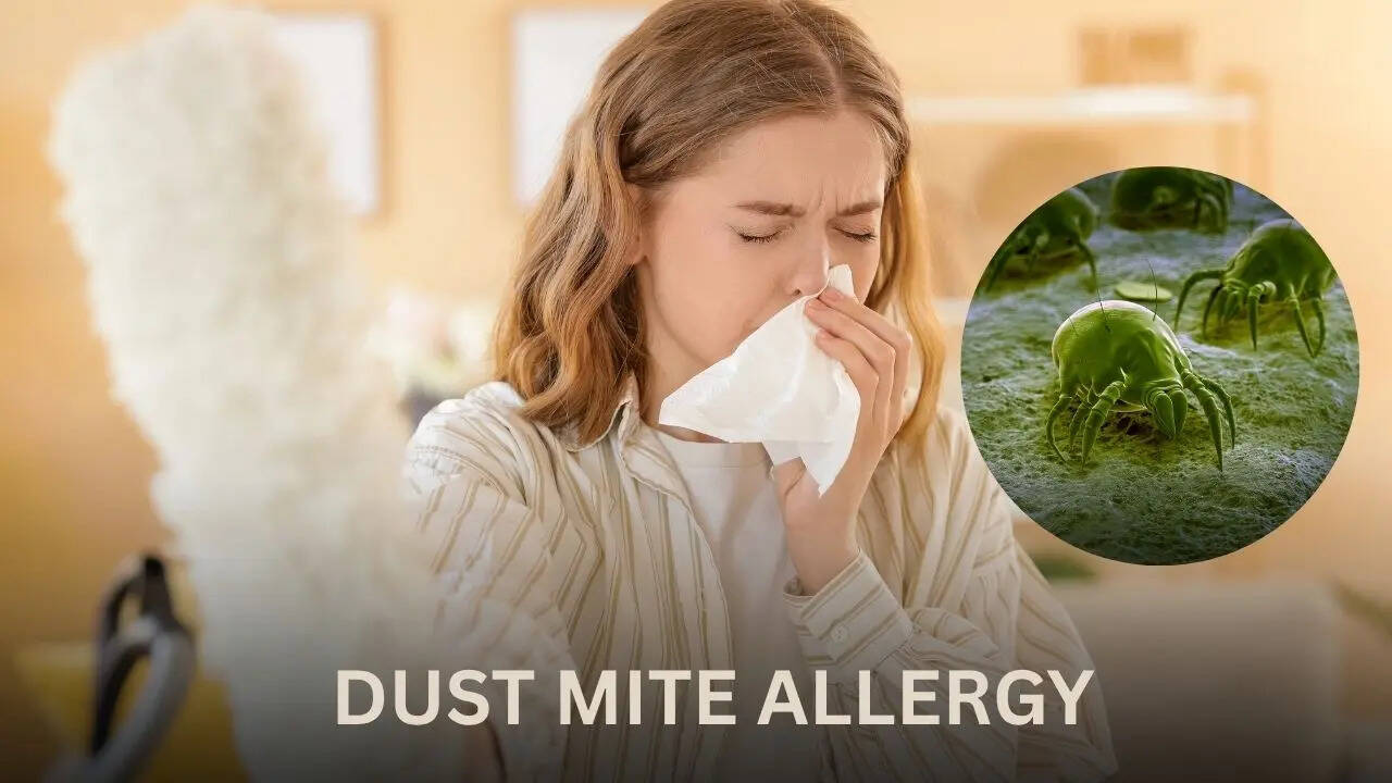 Deep Cleaning On Diwali Can Lead To Dust Mite Allergy; Here's How To ...