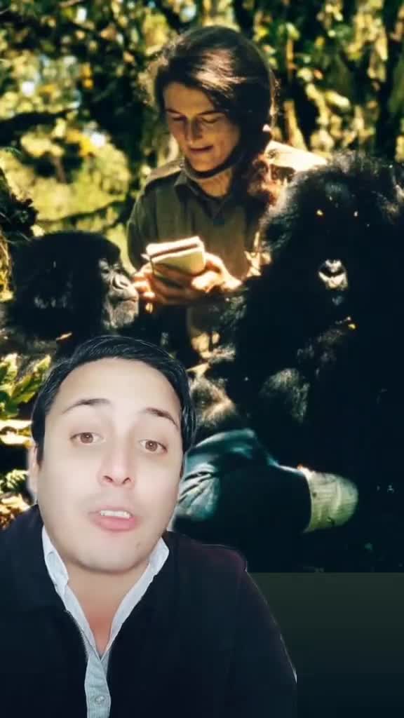 La admirable dedicación de Dian Fossey. #historia #animales #nescrito...