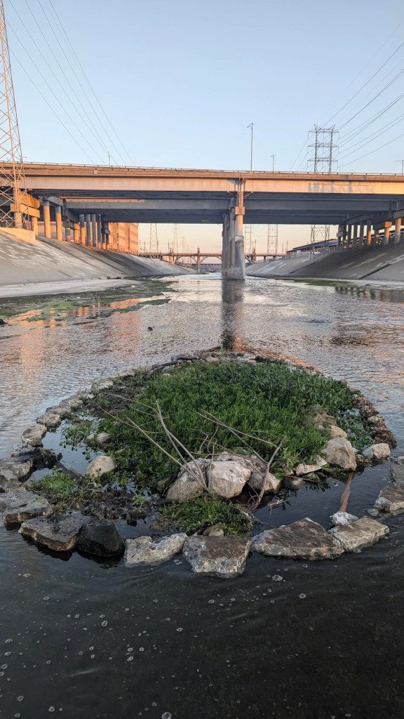 Man shares incredible before-and-after photos after building 'guerilla ...