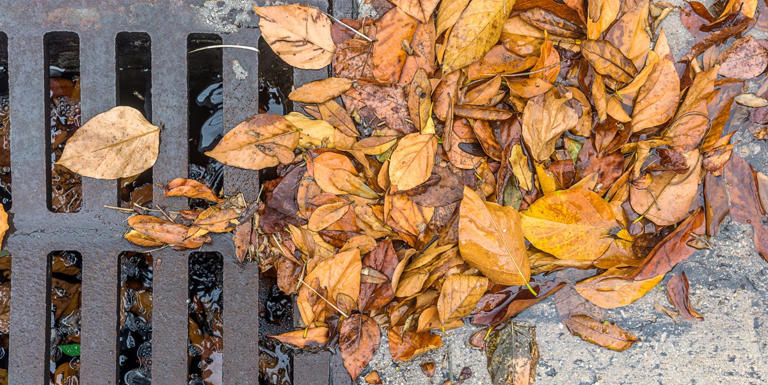 Simple trick homeowners swear by to protect drains from weather damage ...