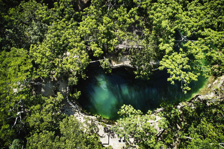 Satellite Imagery Reveals the Best Way to Save Tropical Forests — Just ...