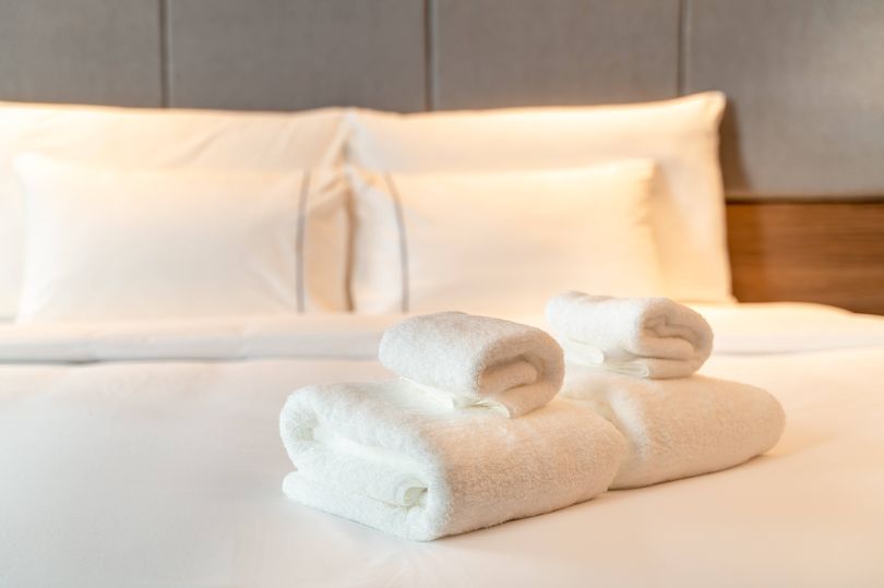 Tourist takes 'shortcut' through hotel and runs into horrifying creature