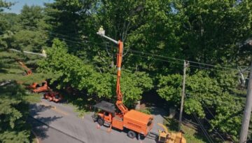 PECO Earns Tree Line USA 2025 Certification for Environmental Stewardship