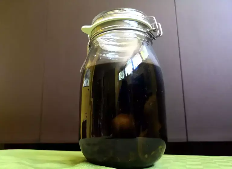 Nocino: traditional italian walnut liqueur