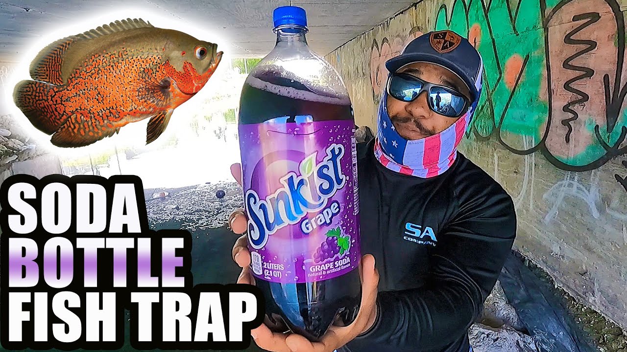 Soda bottle bait fish trap DIY - simple and genius