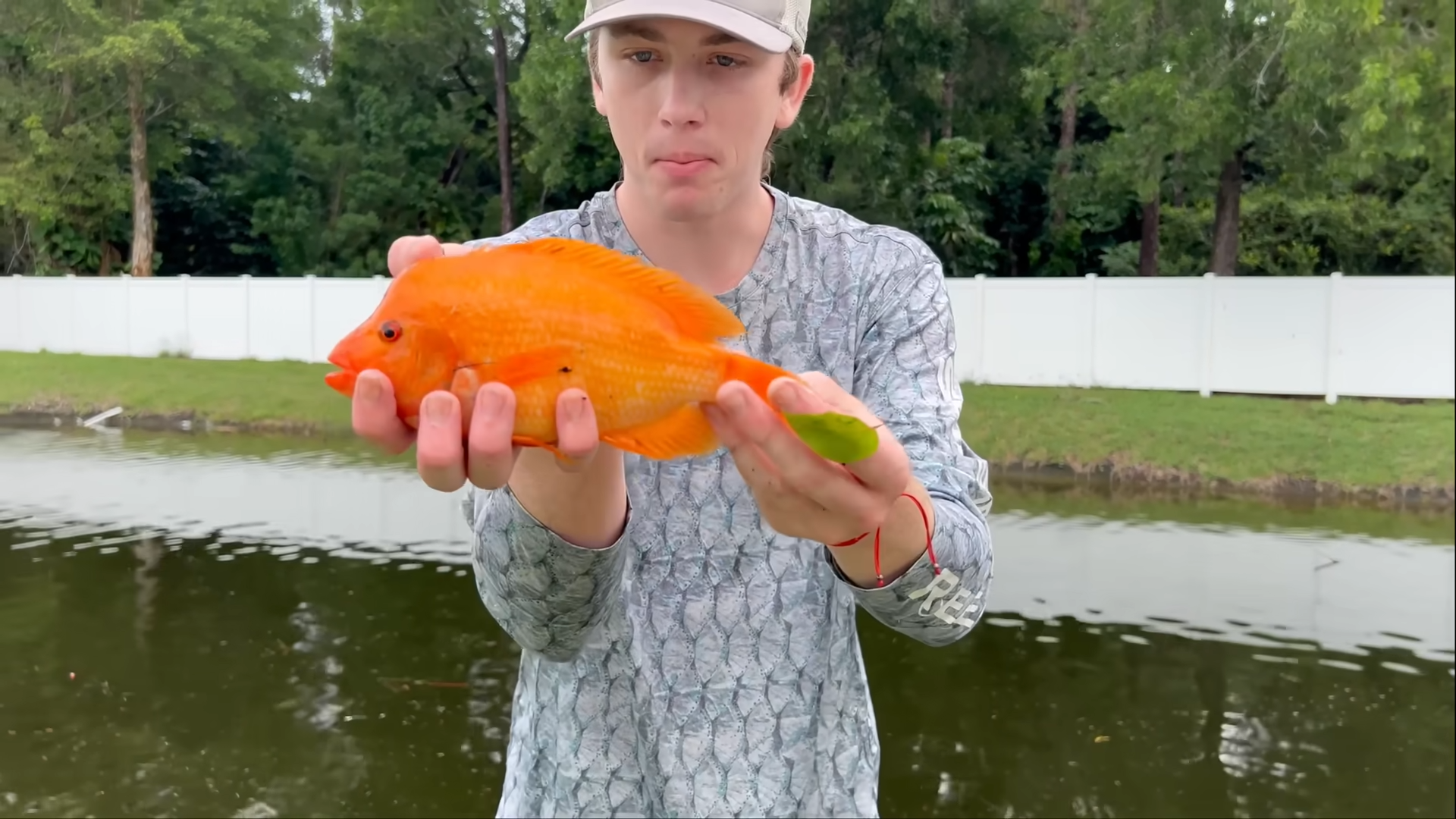 24-hour fish trap catches the pond monster