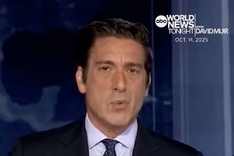 ABC David Muir fans ask 'what's wrong with this guy' as he delivers ...