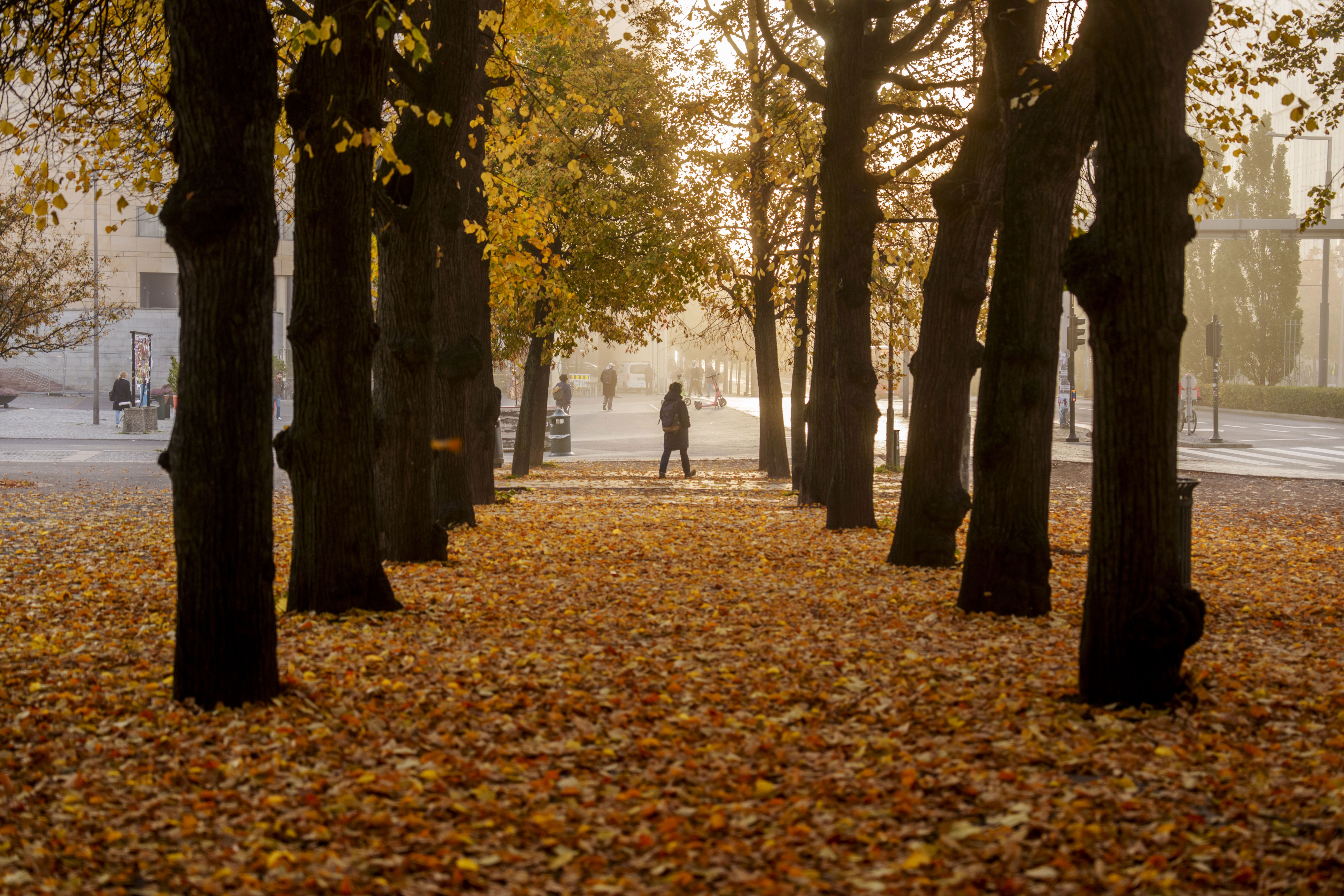 Sol i sør og sludd i nord i helga