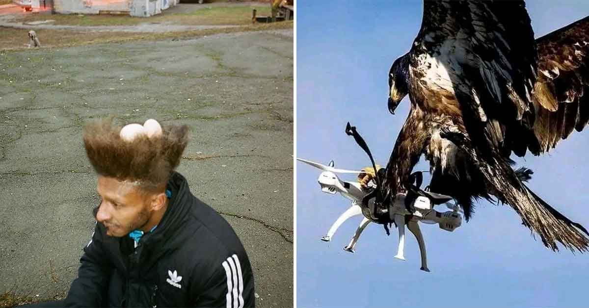 Photos for When Your Brain is Reaching its Limits