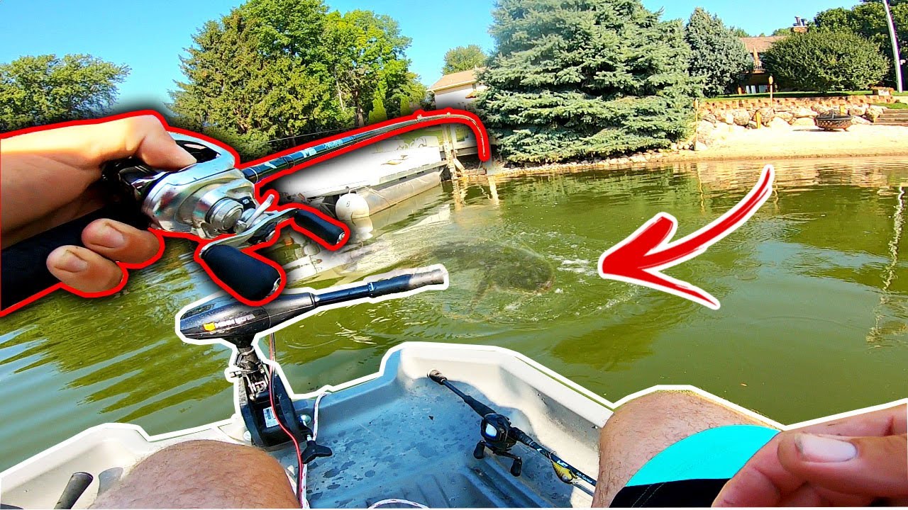 Surprise pond monster drags my mini boat across town