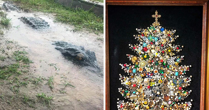 40 Times People Found The Most Amazing Things While Shopping Secondhand