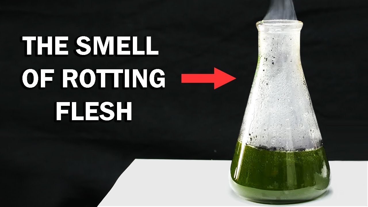 Cadaverine: The Chemistry Behind the Smell of Death