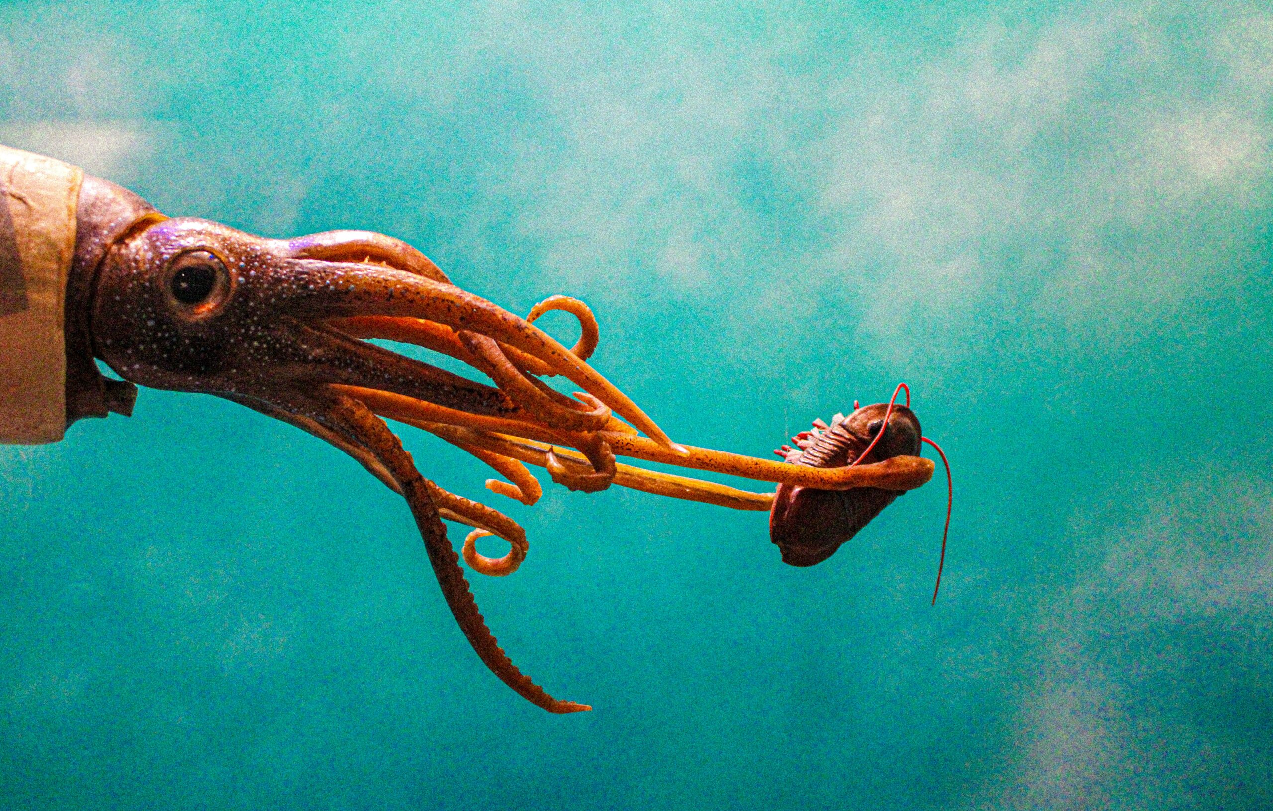 Facts About Creatures Thought to Be Myth