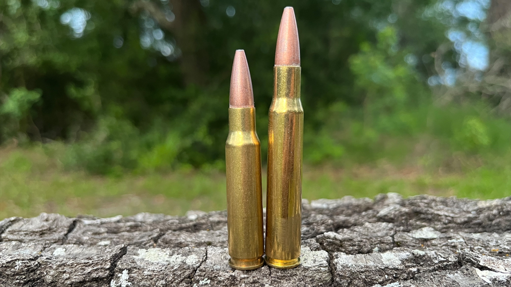 Nine Precision Calibers That Consistently Deliver Pinpoint Accuracy