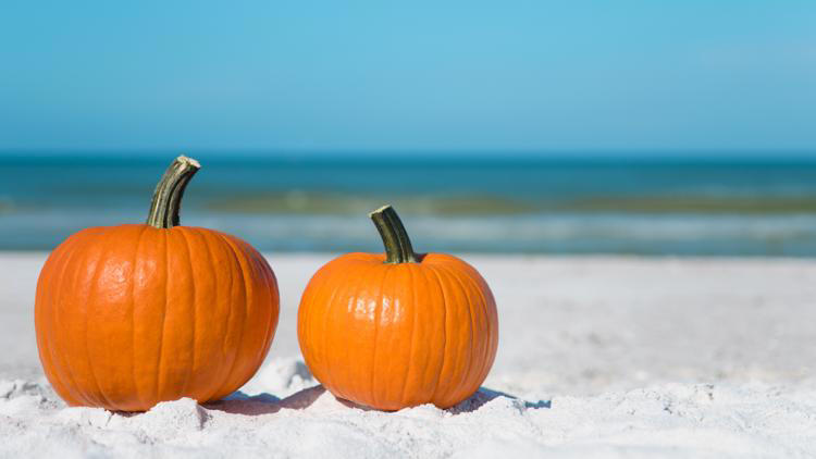 ‘False fall’ has arrived in the Tampa Bay area. Here's what that means