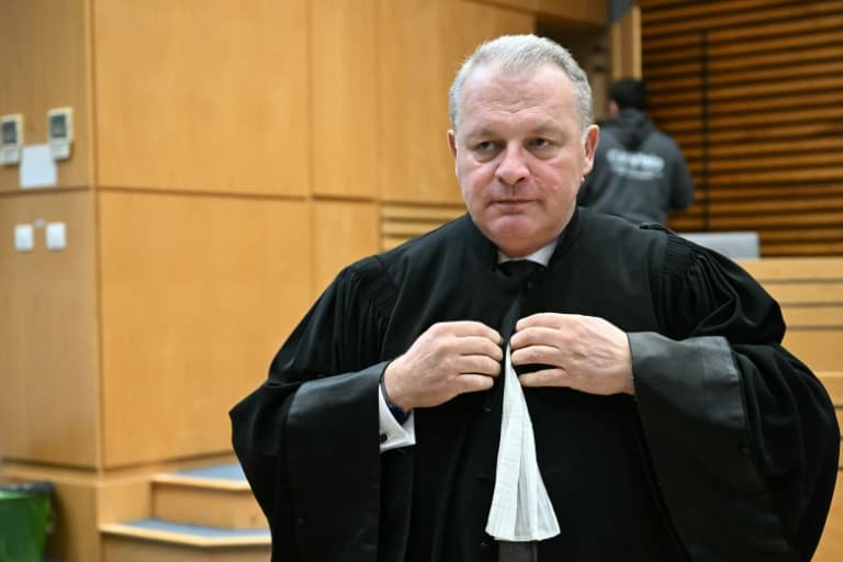 "Rendez-leur Delphine!": l'avocat des enfants à la barre lors des ultimes plaidoiries des ...